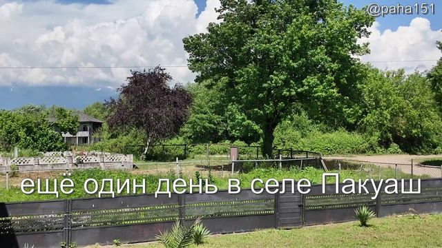 ПАКУАШ // 9-я серия про отпуск 2025