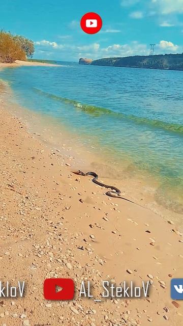 Рыбалка со змеёй