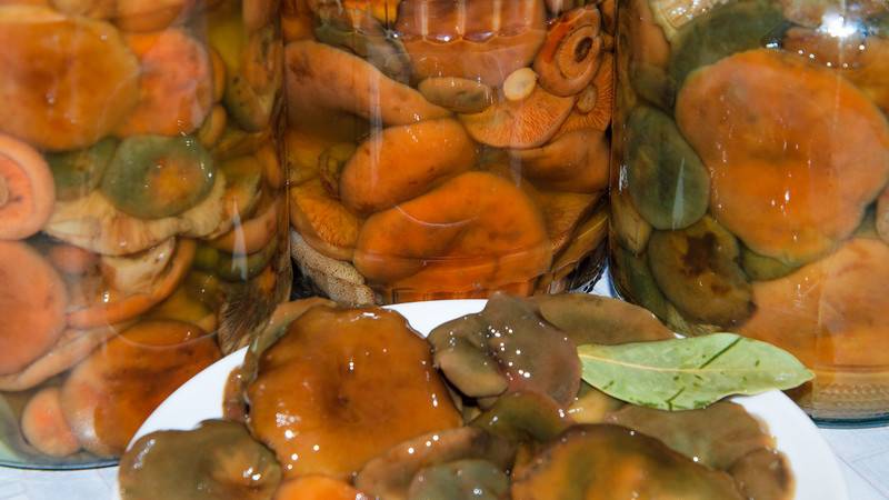 Вкусно и просто! Как я делаю тыквенные цукаты и мариную рыжики