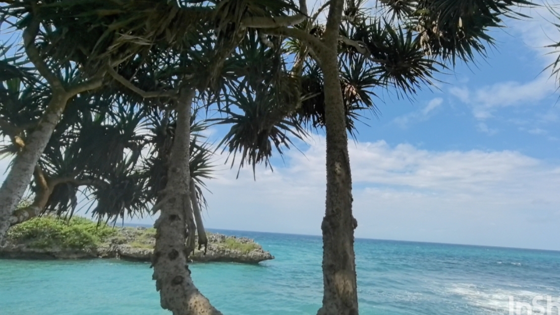 5. Бали.  Второй день.