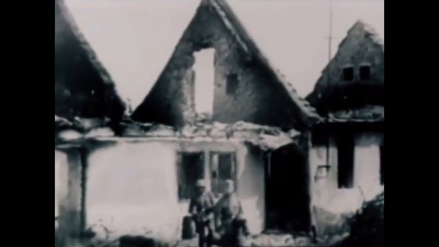 Омская область