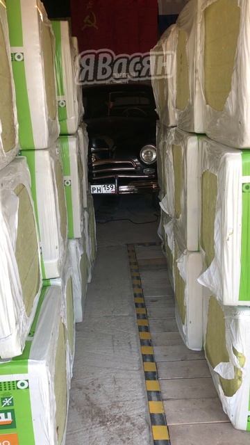 А КТО ЭТО У НАС ТАМ СПРЯТАЛСЯ #ГАЗМ20 #ЭКОВЕР #shorts