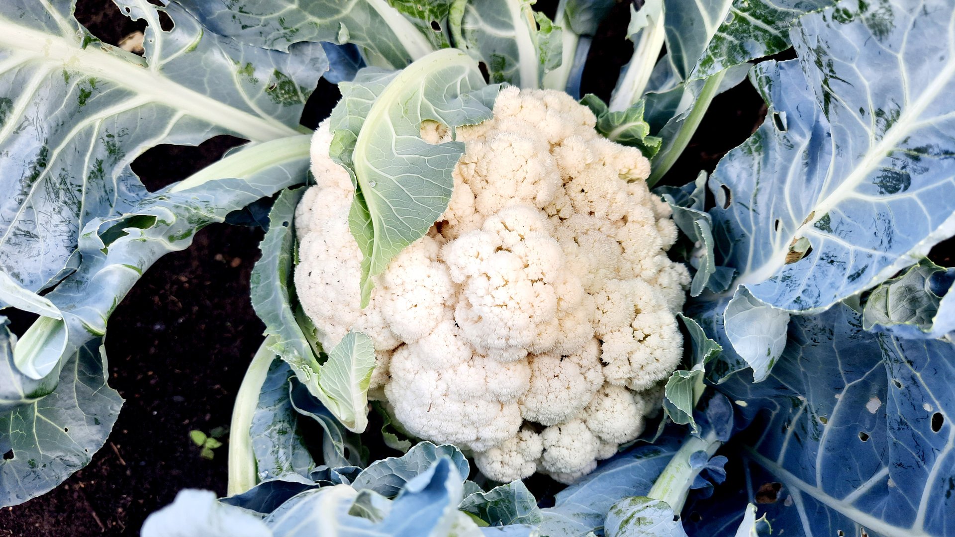 День за днём и скоро осень!🥦🌺🧣