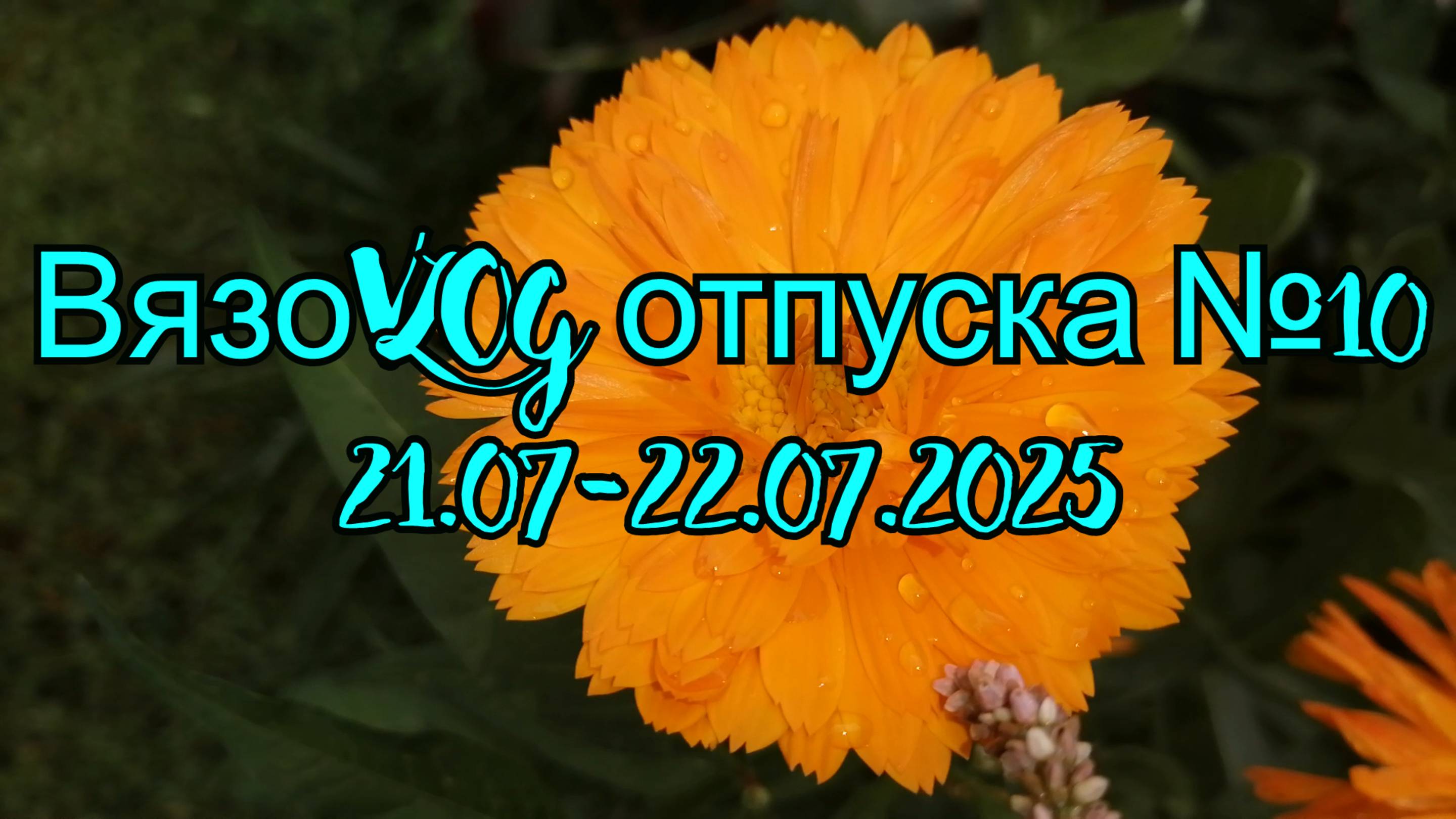 Вязовлог отпуска №10  21.07 22.07.2025. Экскурсия по огороду. Размышления. Мои вязальные проекты.