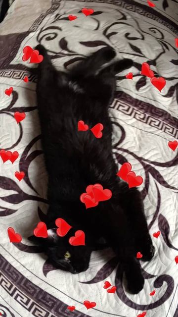 Брошенки-эпизод6