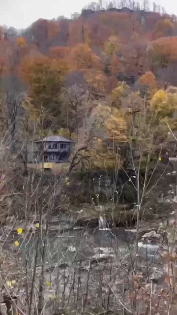 Good Music Academia |  Поездка на водопады "Руфабго"