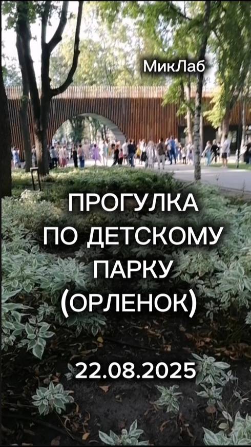 Прогулка по Детскому Парку (Орлёнок). 22.08.2025. МикЛаб