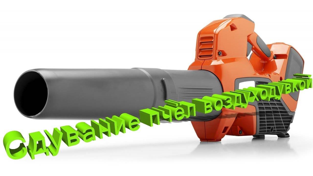 Пчёлы и воздуходувка: Открытие Кашковского