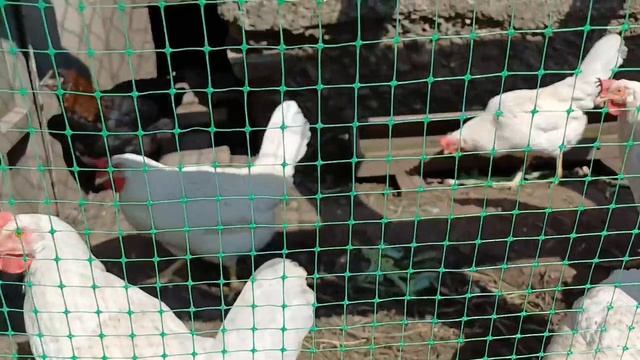 Просто обычный влог Домашние дела Напекла к чаю