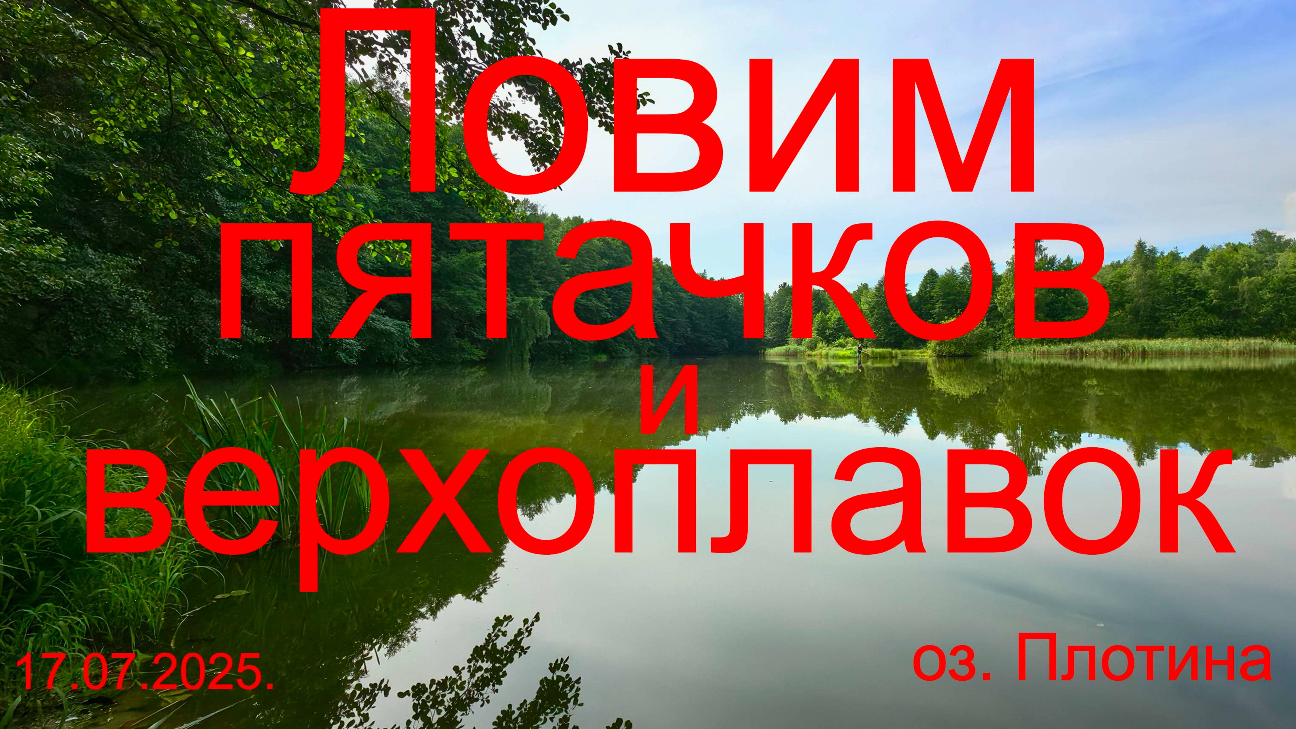 Ловим пятачков и верхоплавок.17.07.2025. оз.  Плотина. Рыбалка в Подмосковье.