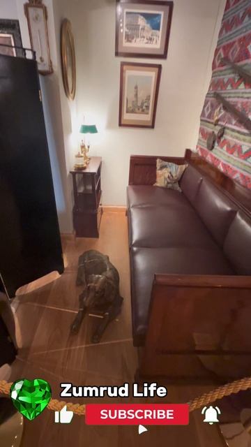 Дом-музей И.С. Тургенева (Москва) Кабинет И.С. Тургенева. Мир молодого человека 1840-х гг