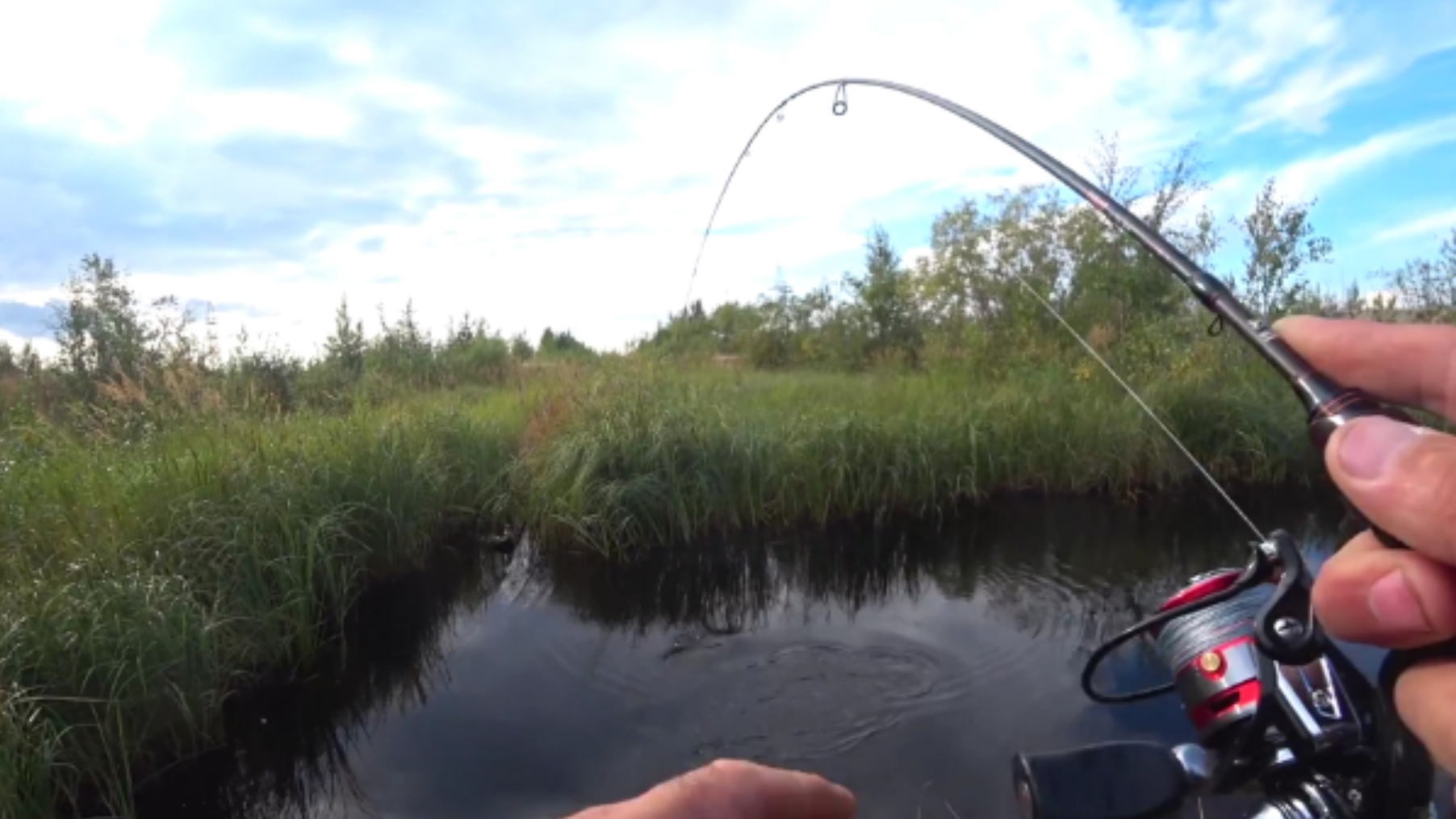 ТРУДОВАЯ РЫБАЛКА ПОЛУЧИЛОСЬ!!! ОБЪЕЗДИЛИ МНОГО МЕСТ И НЕ ЗРЯ!!!