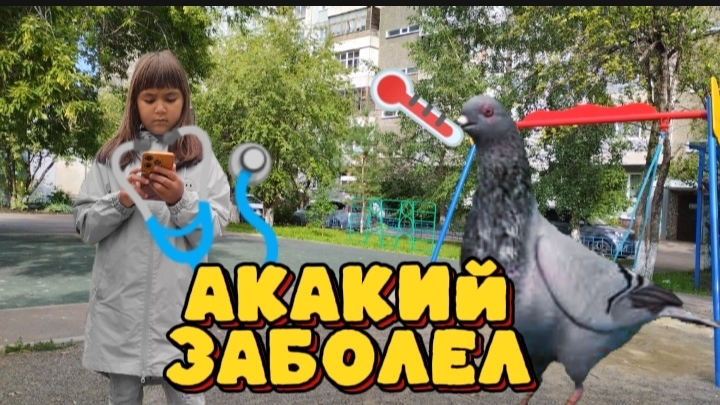 ГОЛУБЬ АКАКИЙ ЗАБОЛЕЛ | friendsRD