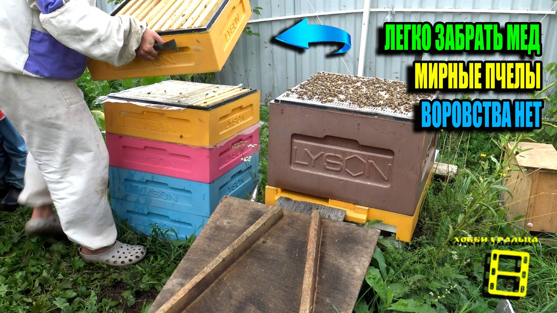 СКОЛЬКО МЕДА ПРИНЕСЛИ ПЧЕЛЫ В ДОЖДЛИВОЕ ЛЕТО? КАК СПОКОЙНО ЗАБРАТЬ МЕД У ПЧЕЛ? ПЧЕЛОВОДСТВО 25-29
