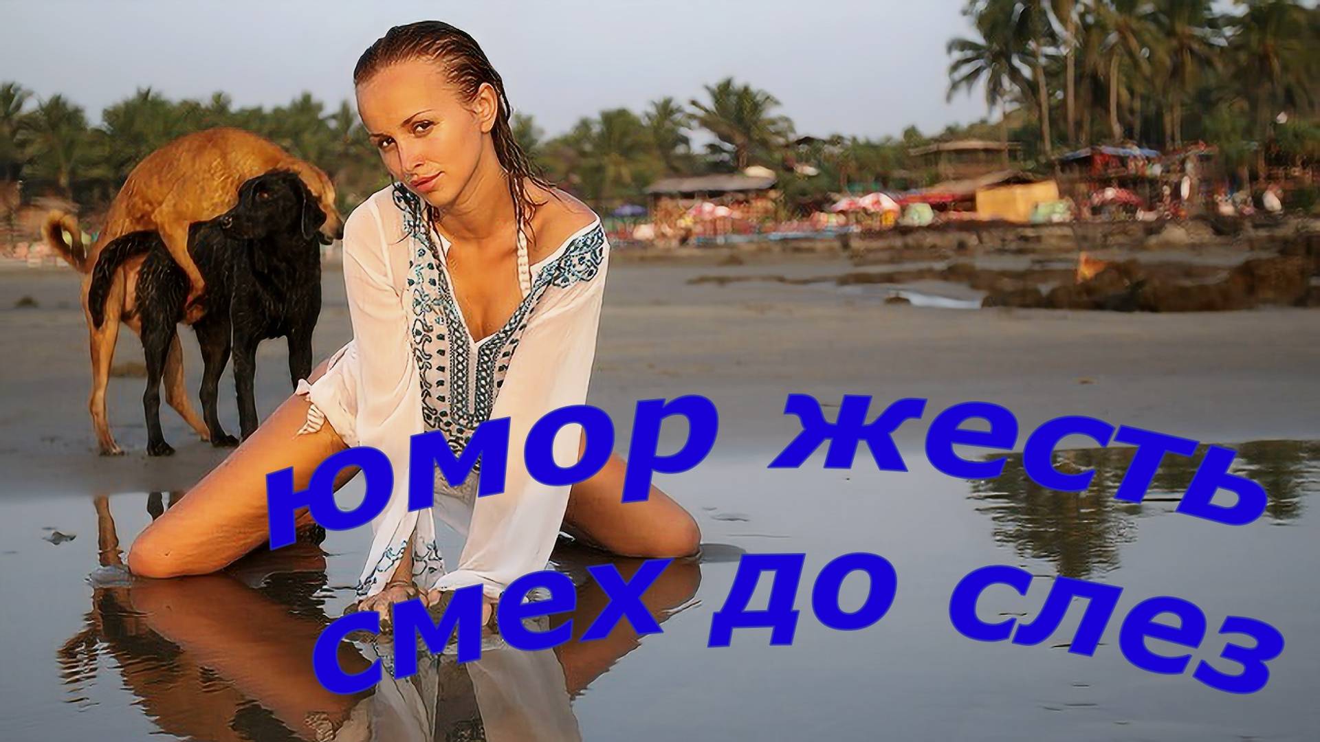 Смешные видео, ПРИКОЛЫ