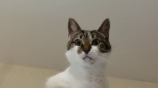 Мир их не берет