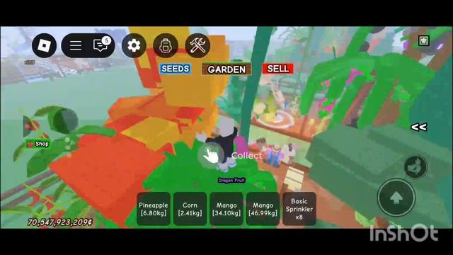 вырасти сад