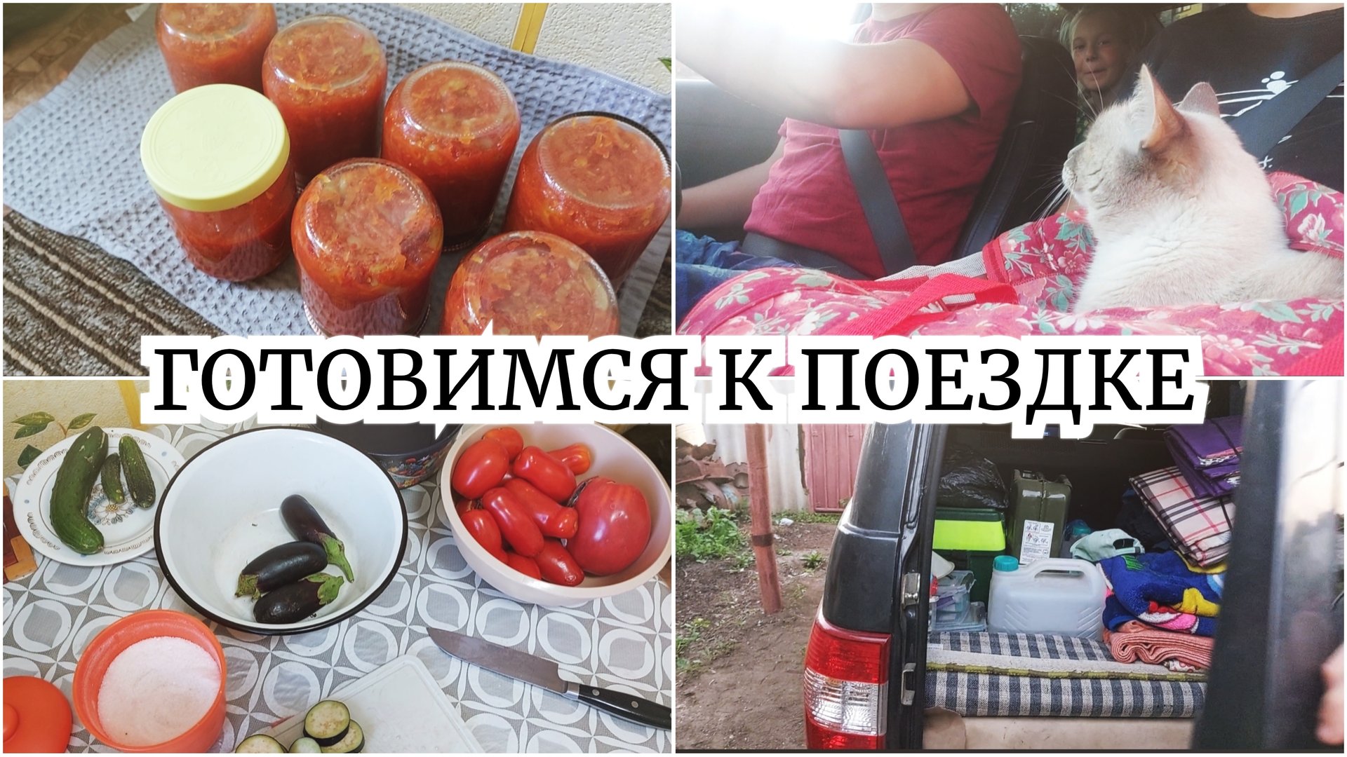 ЛЕЧО НАИВКУСНЕЙШЕЕ 🔥 СБОРЫ К ПОЕЗДКЕ 🔥 ГОТОВЛЮ НА 2 ДНЯ ПРИРОДЫ // ВАСИЛИСА В ГОСТИ