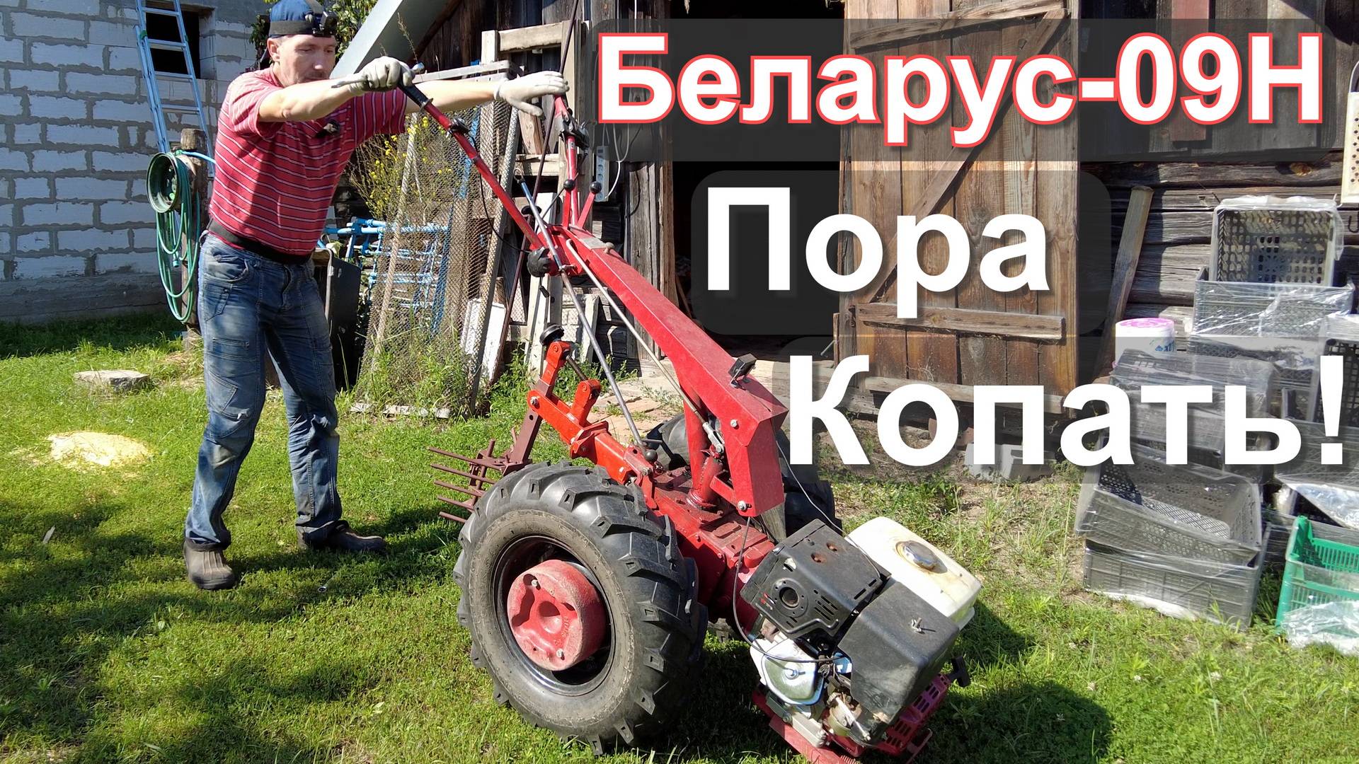 Копаем картошку мотоблоком Беларус-09Н с новым агрегатом! Вылетают передачи. Счастливая белорусочка