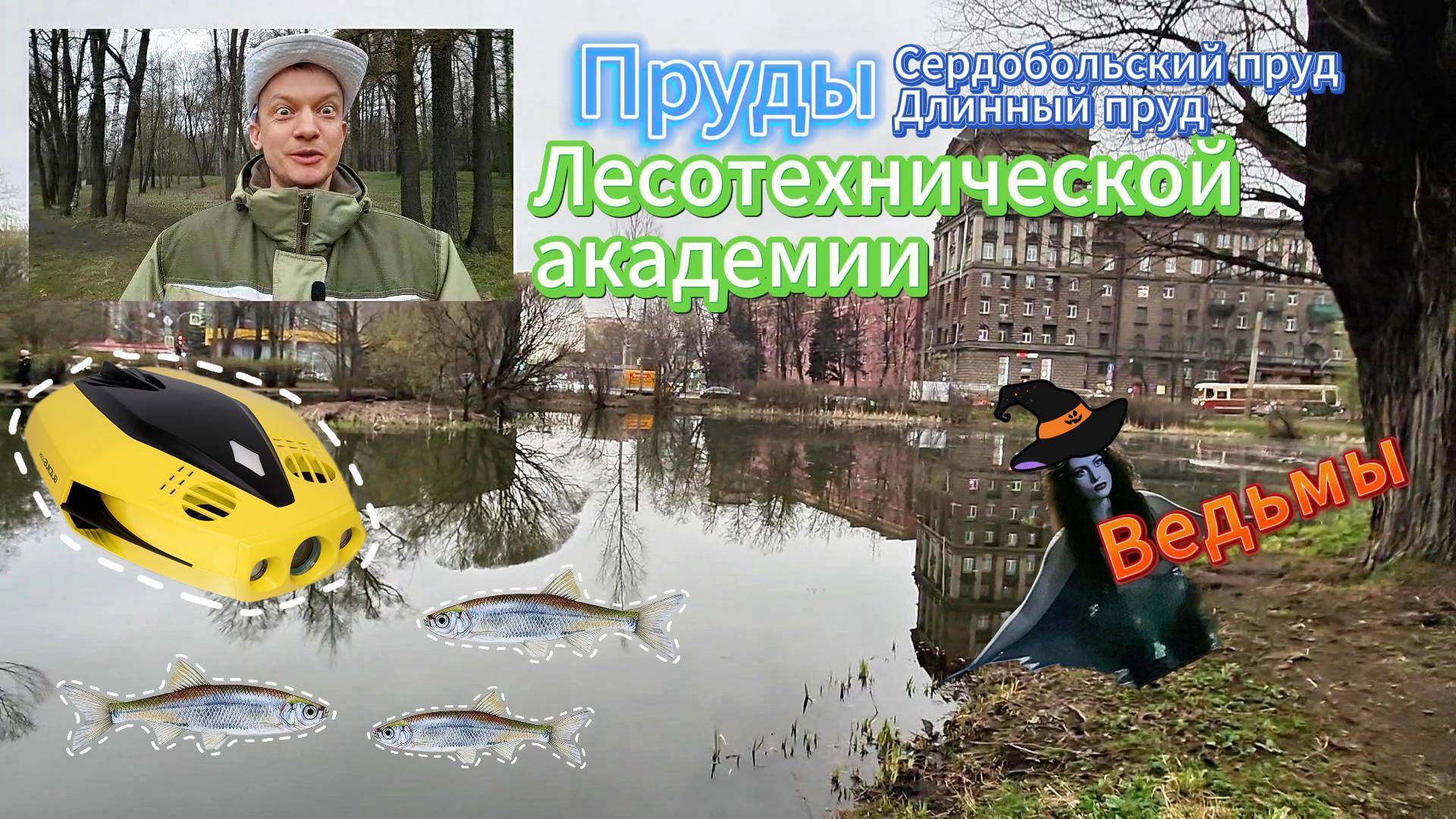Сердобольский и Длинный: подводный мир прудов парка Лесотехнической академии. Рыбки, рачки и ведьмы