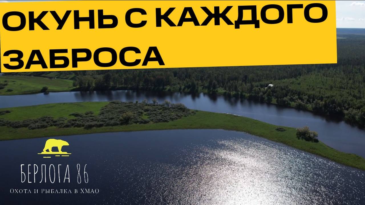 РАЗДАЧА ОКУНЯ !! РЫБАЛКА ЧАСТЬ 2 !!