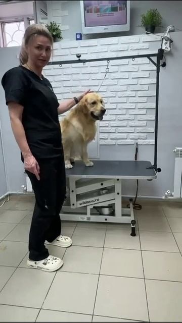 Стол для груминга на гидроподъемнике/отзыв от клиента