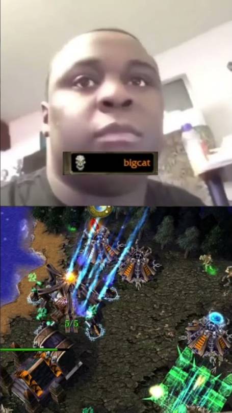 Мёртвый Большой Кот не понимает, что происходит в Warcraft 3 Reforged