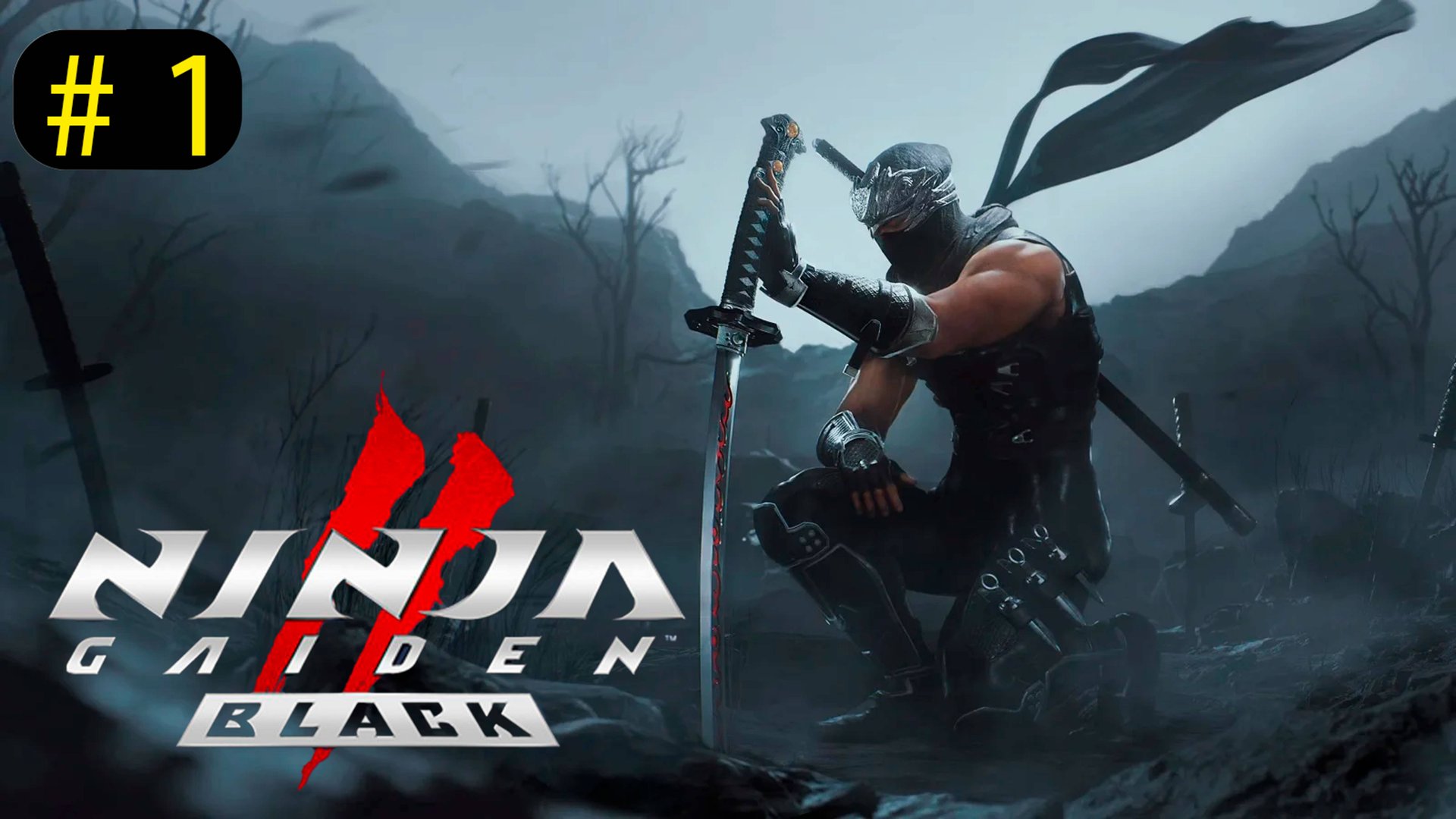 NINJA GAIDEN 2 BLACK # 1