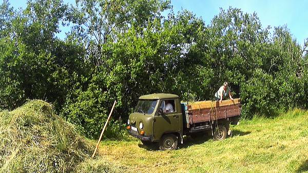 МОЙ ТРИММЕР УМЕР ПОСРЕДИ ПОКОСА! 😱 Зима близко, а сена нет?!