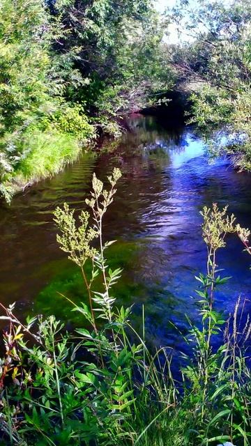 В Сибири есть такие речки! #речка