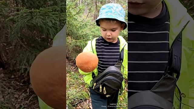 За грибочками с Ванюшкой.