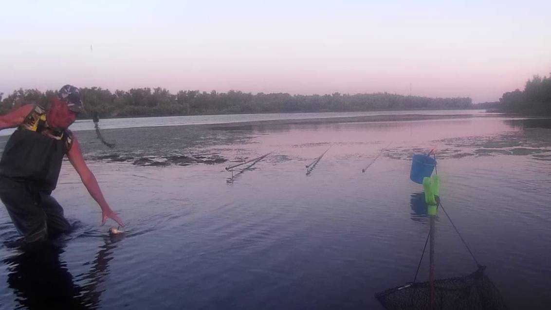 Рыбалка на Ахтубе без приключений ни куда.