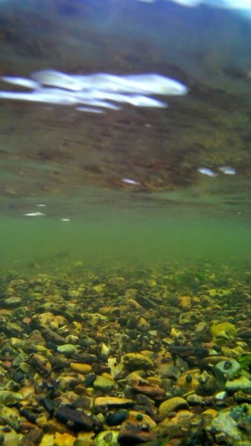 Пульс самой природы, холодный, но живой #осень #речка #природа