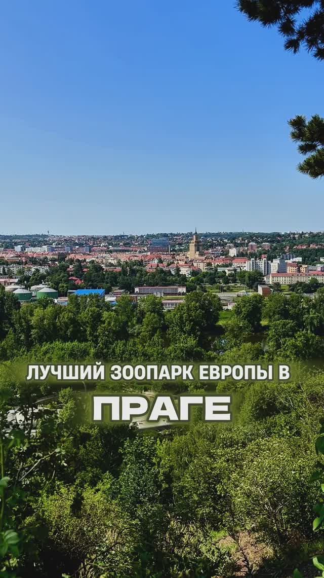 ЛУЧШИЙ ЗООПАРК ЕВРОПЫ В ПРАГЕ