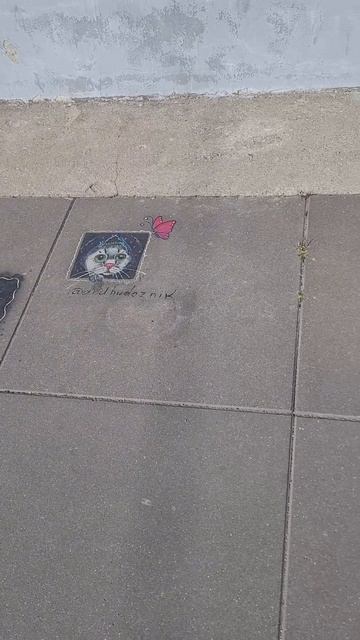 Рисунки на тротуаре. Нижнее озеро, улица Шевченко