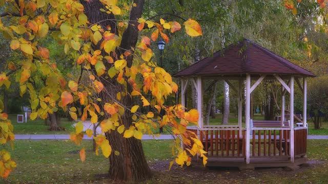 В ТИХОМ ШЁПОТЕ ОСЕНИ