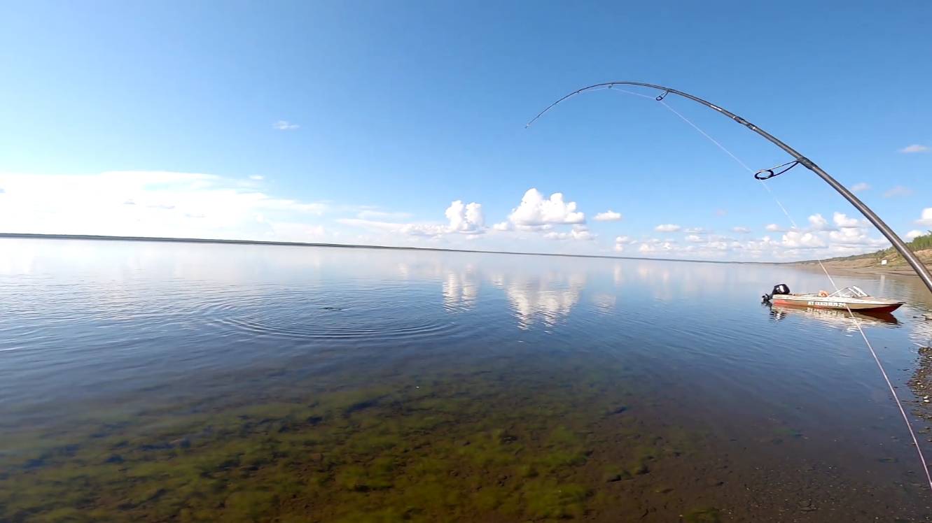 Рыбалка. Енисей даёт жару. Часть вторая.