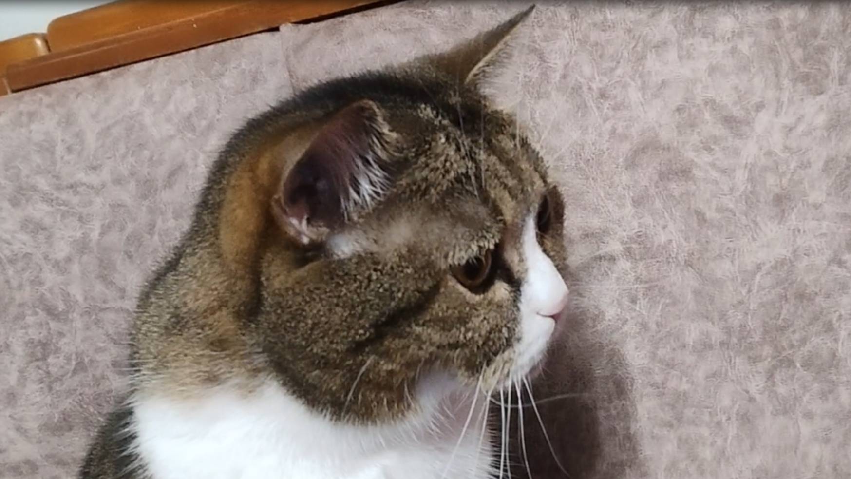 Расслабляющее видео. АСРМ