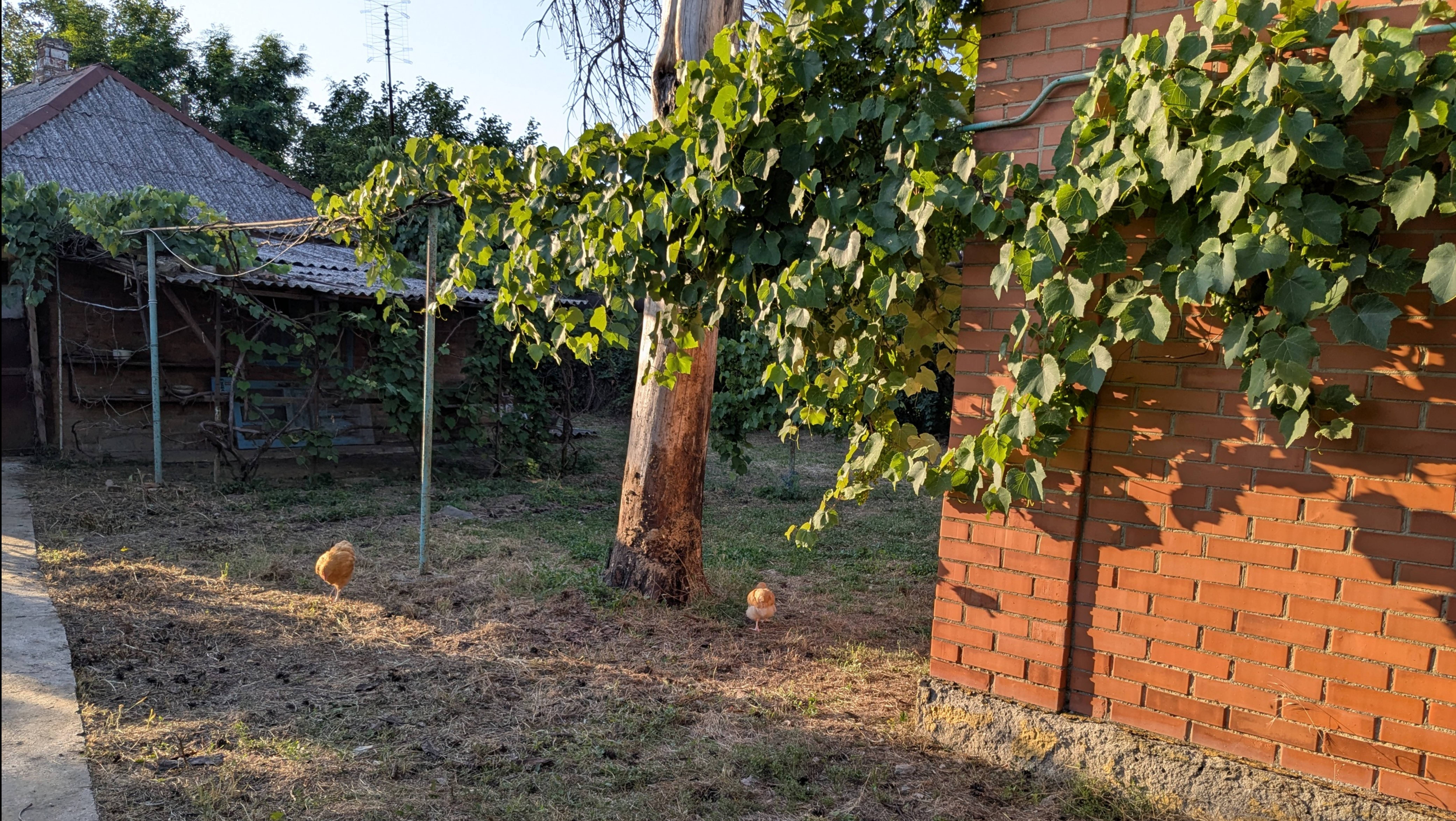 #6/Купили дом в Краснодарском крае/переоформление, газ, свет, вода/убираем на кухне/провели интернет