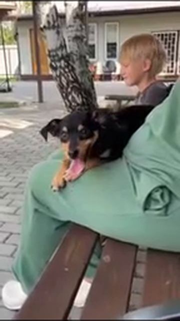 Пес-обнял-своих-спасителей-после-того-как-был-брошен-на-азс