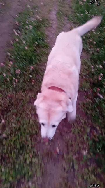 Скоро осень