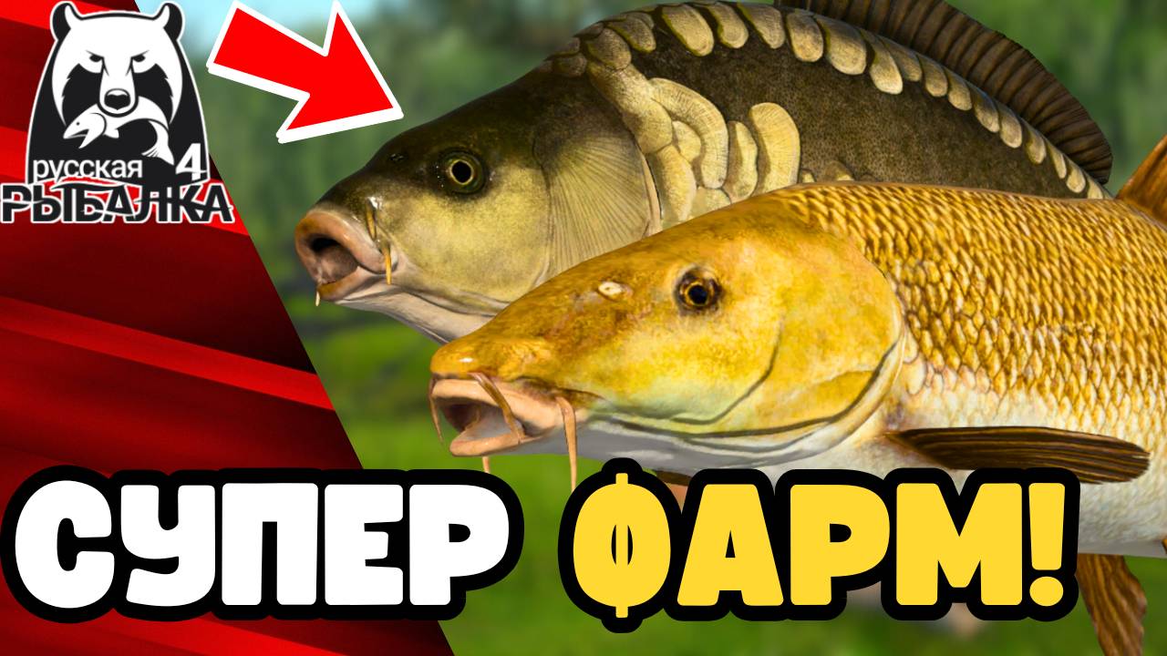 🤯 СУПЕР ФАРМ СЕРЕБРА Медное РР4! Раздача Трофов Ахтуба | Лучшие точки для фарма