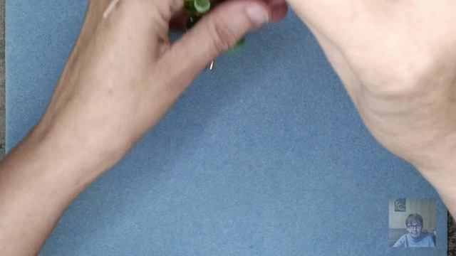 Зелёный комплект