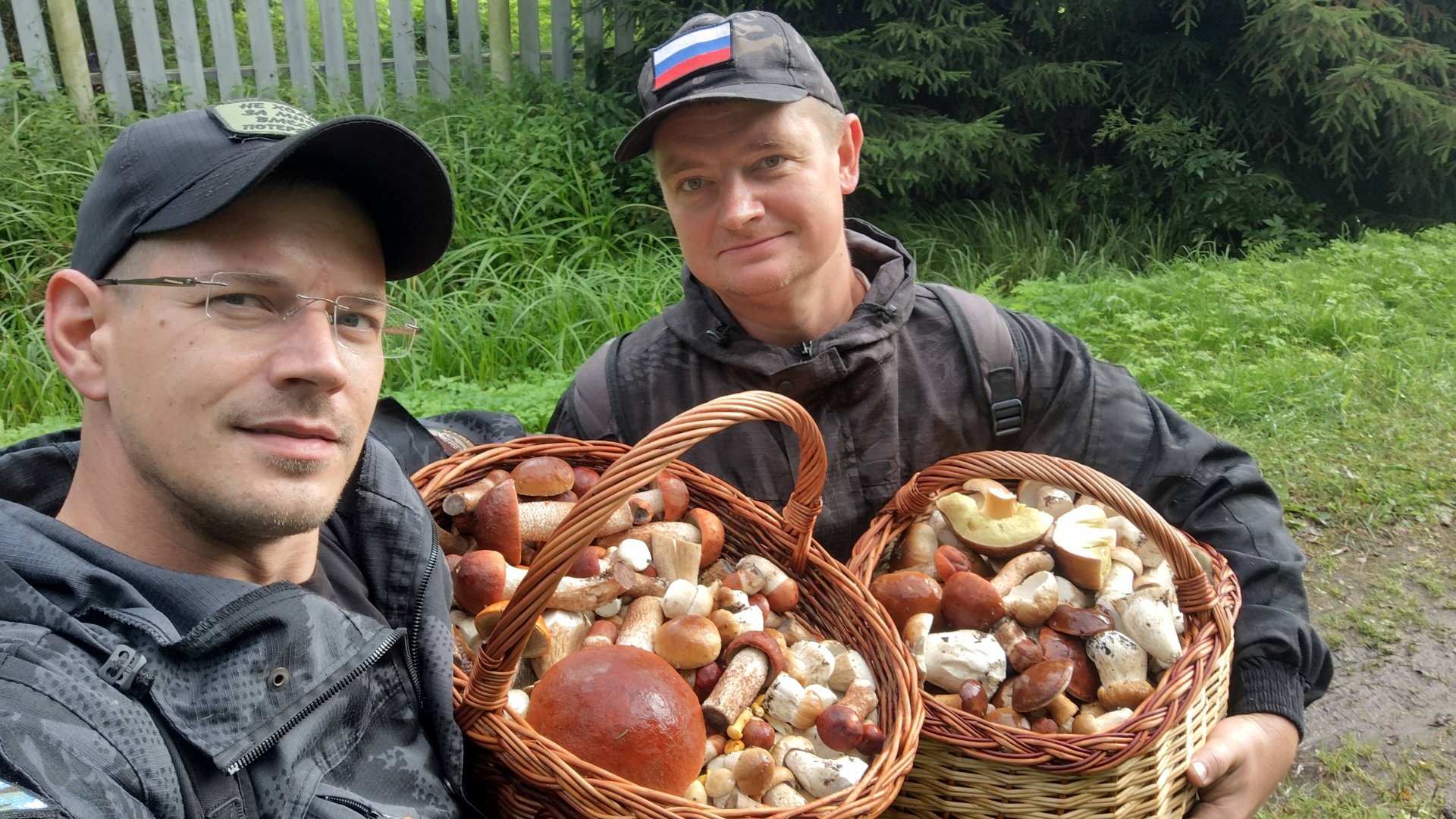 Дождь не помеха грибнику! Сбор белых и подосиновиков 23.08.25