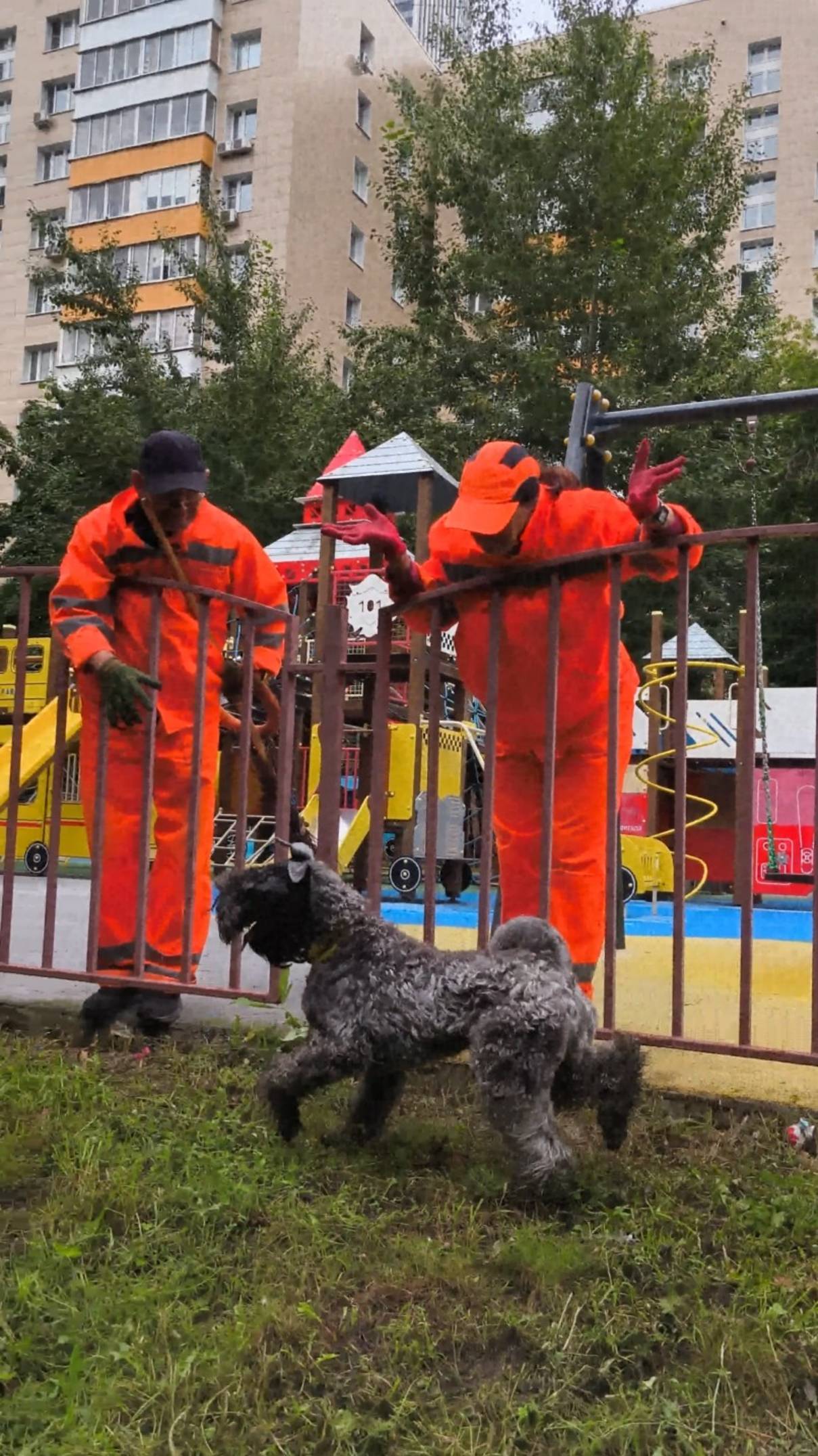 Наши любимые дворники