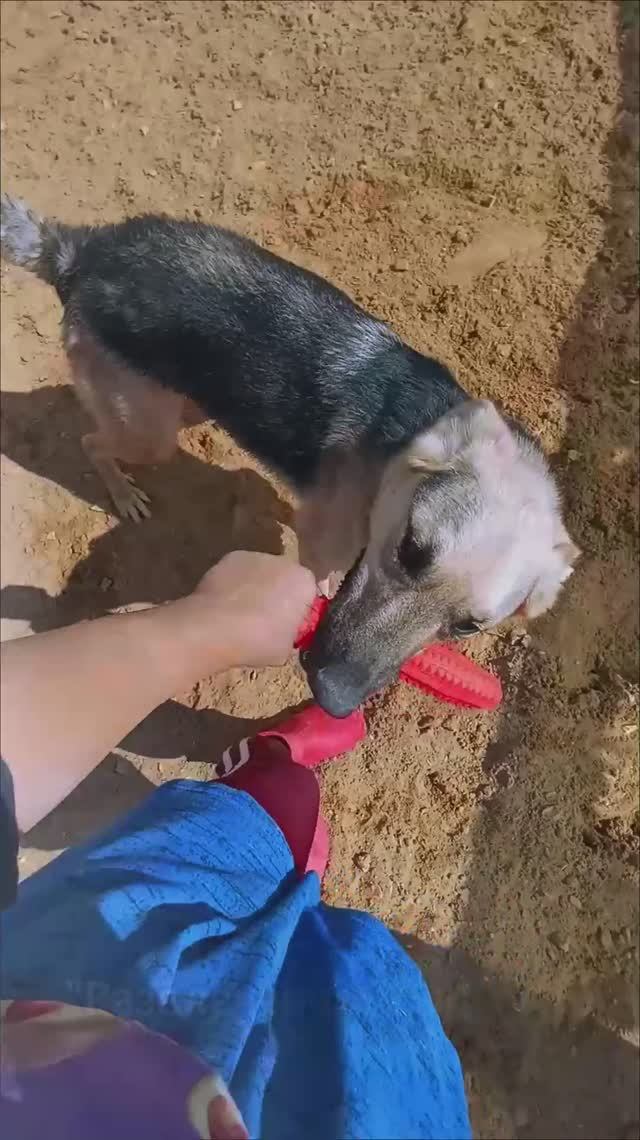 "Невидимая находка" ❥ Приют в Малинках