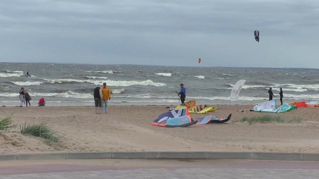 Ветер на заливе