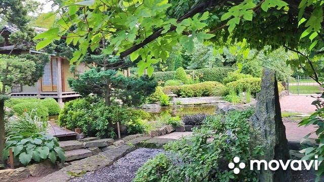 Ботанический сад Петра Великого в Санкт-Петербурге, Японский сад