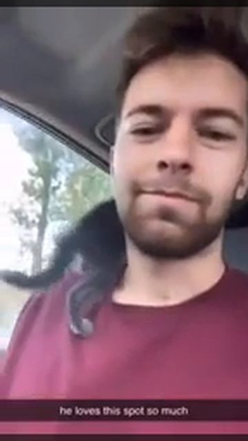 Спасение-котенка