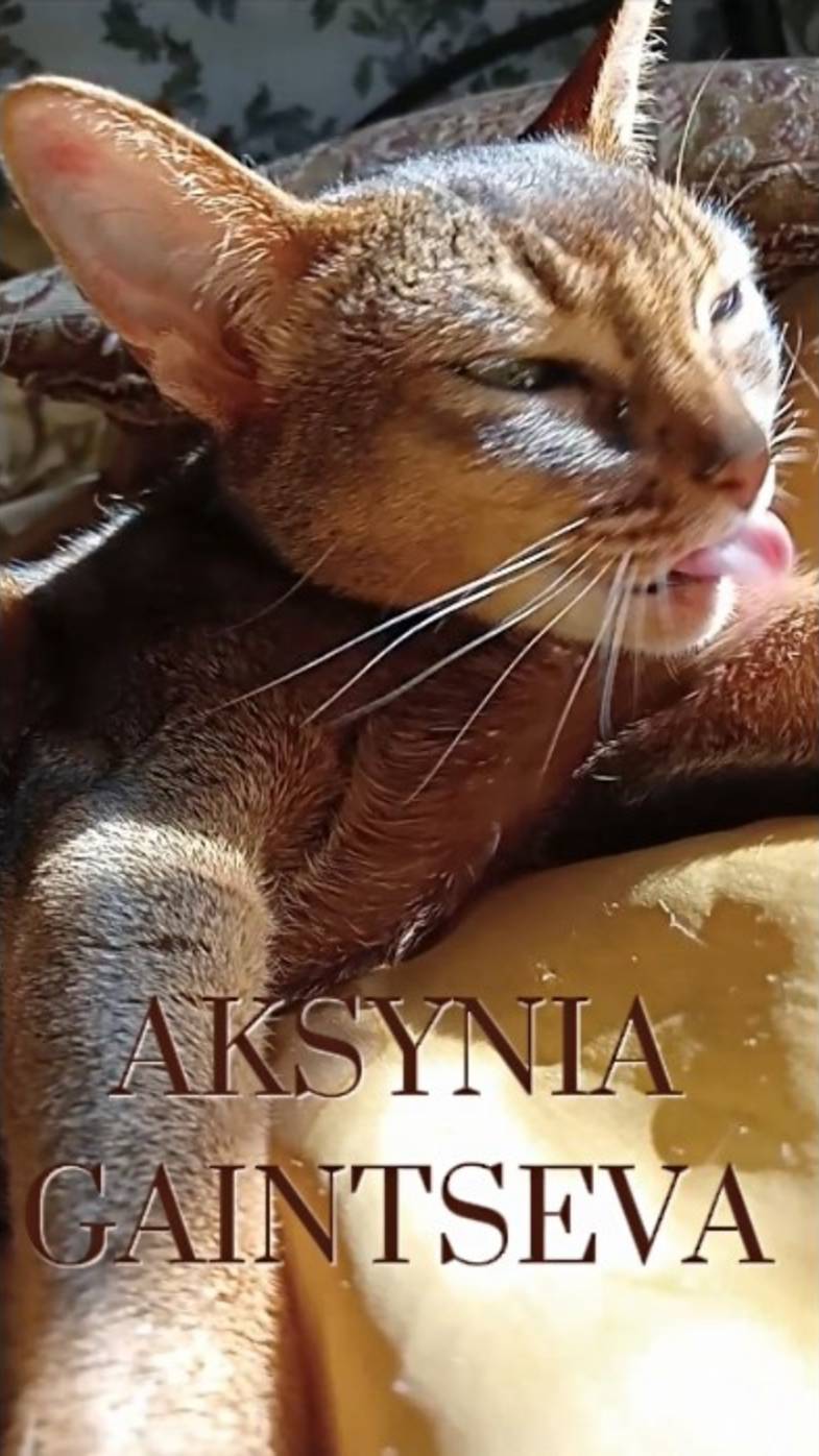 Аксинья — в переводе с греческого означает «гостья», «странница», «путешественница», «чужестранка»